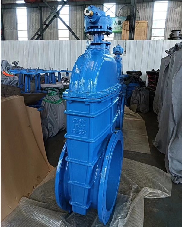 Standard GOST Worm Gear Gate Valve OEM 16 Inch Gate Valve