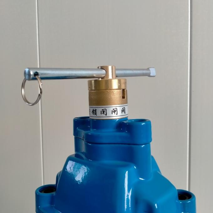 Manual Resilient Gate Valve With Lock Industrial DN50 Gate Valve