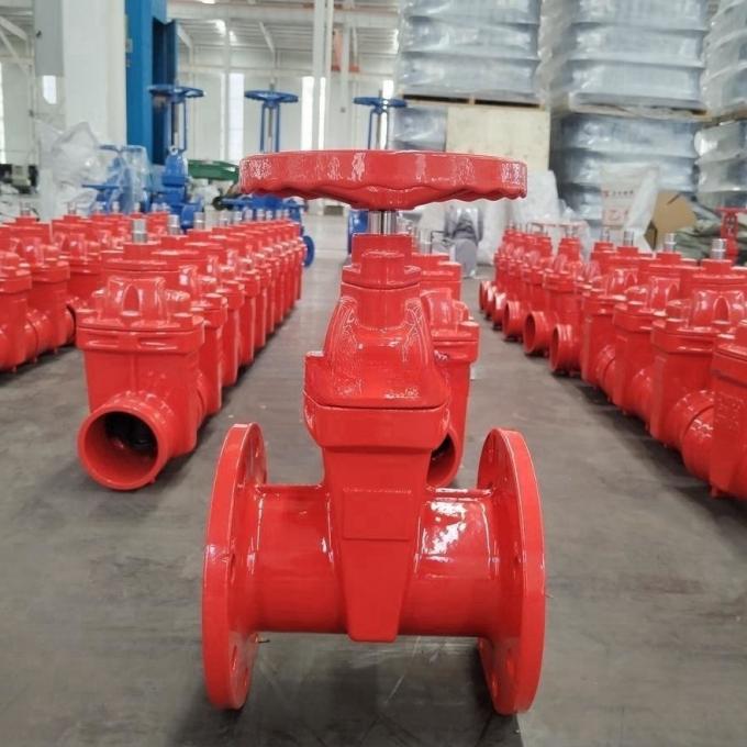 Ductile Iron Soft Seat Gate Valve 8 Inch F4 German Standard